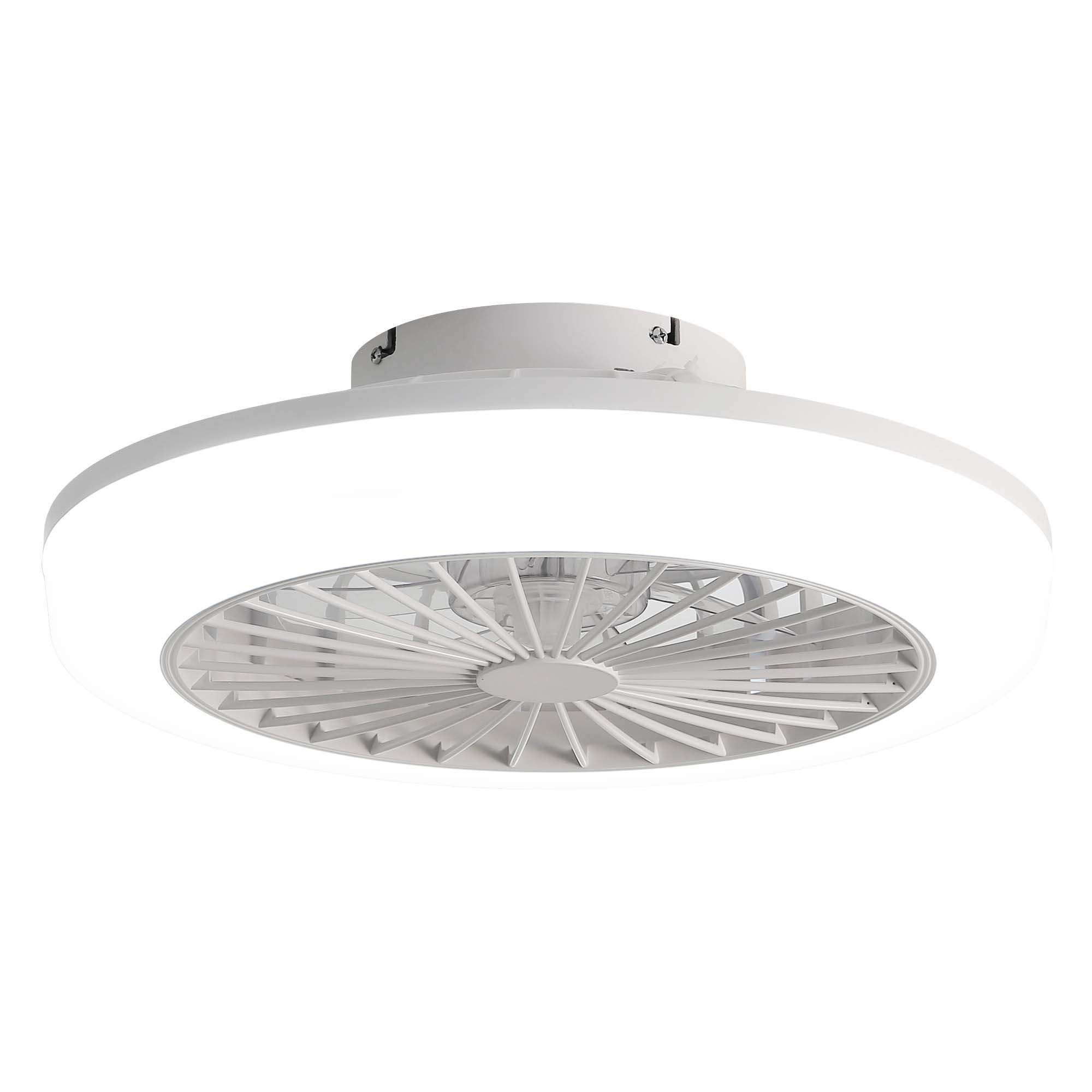Ebern Designs 18 Inch Enclosed Ceiling Fan With Light And Remote | Wayfair
