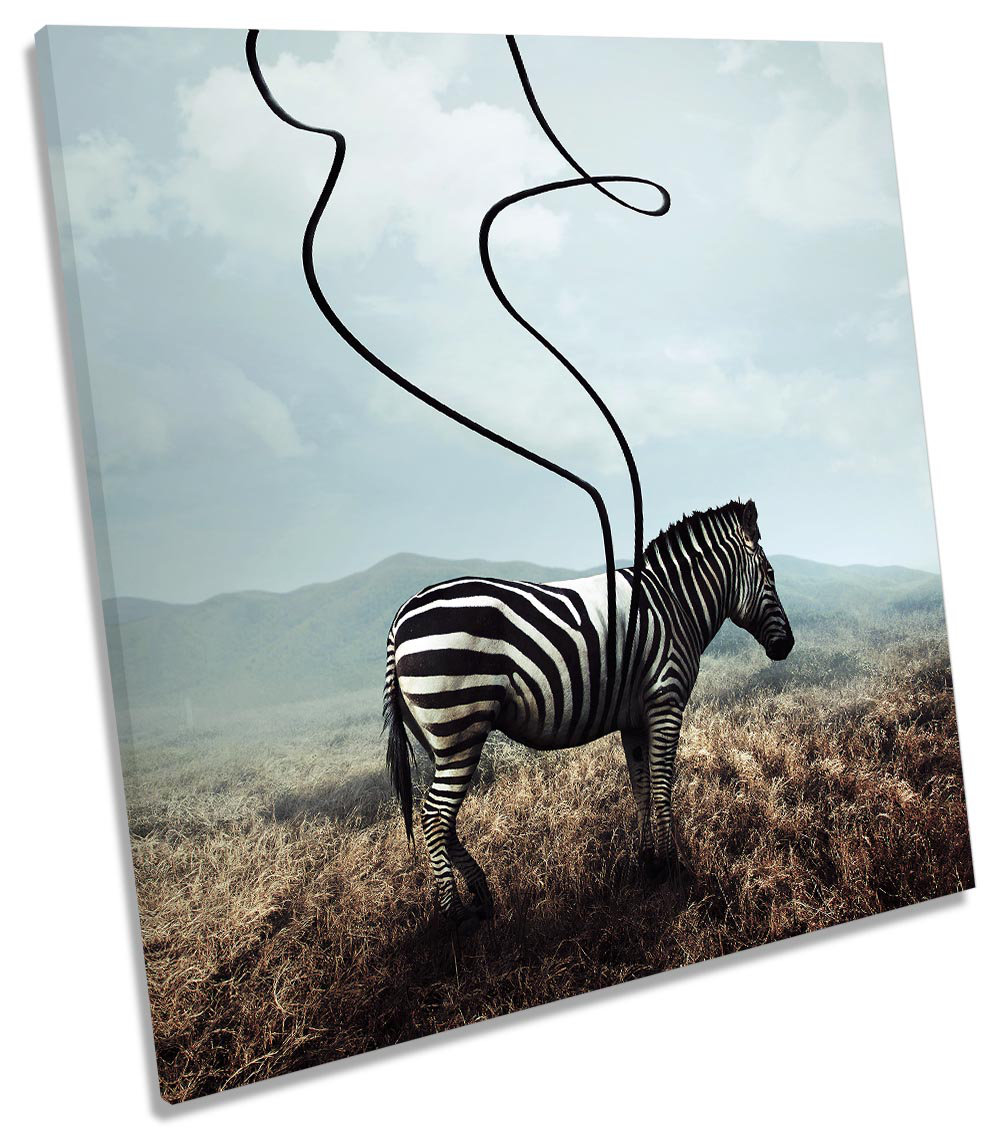 Alpen Home Surreal Zebra Stripes Picture CANVAS WALL ART Square Print ...