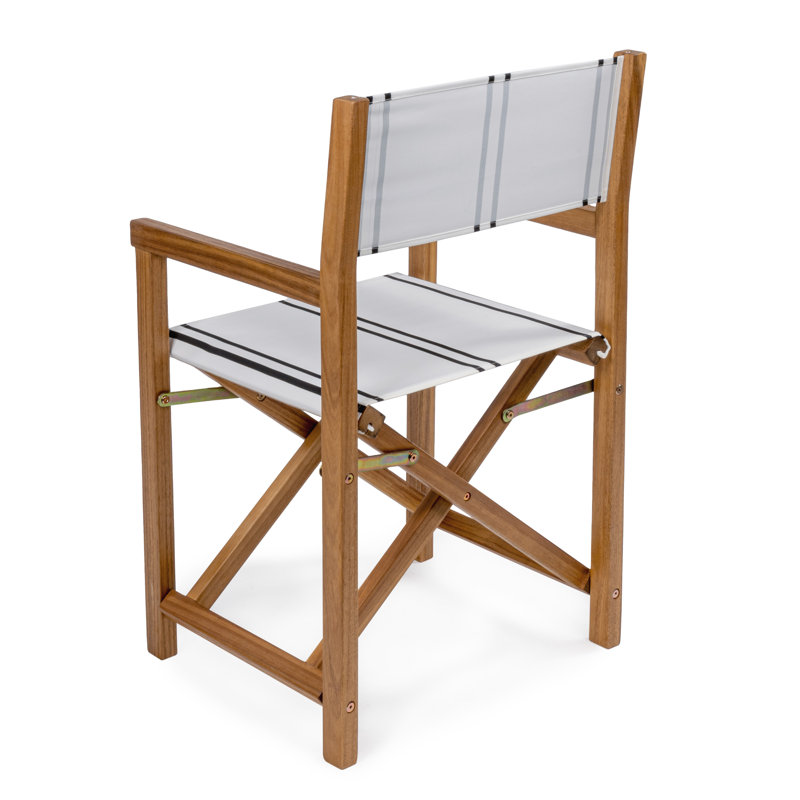 Hokku Designs Zaniya Folding Director Chair | Wayfair