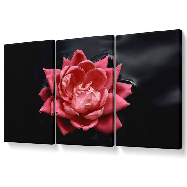 Canora Grey Floating Flower - 3 Piece Wrapped Canvas Print | Wayfair.co.uk