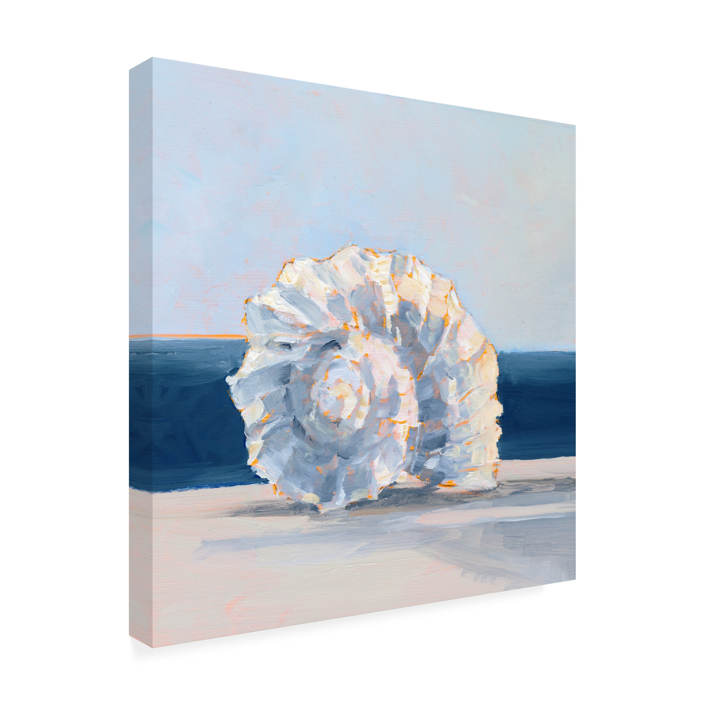 Highland Dunes Shell By The Shore IV by Ethan Harper Canvas Art | Wayfair