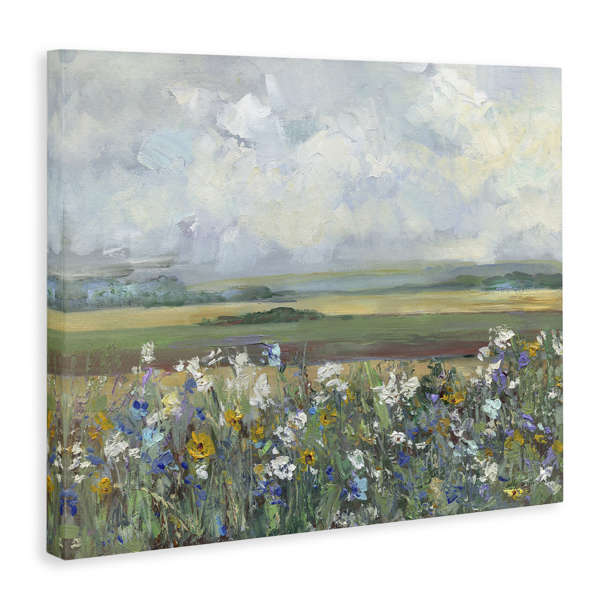 Dakota Fields County Meadow Clouds Overhead Canvas, design by Sally ...