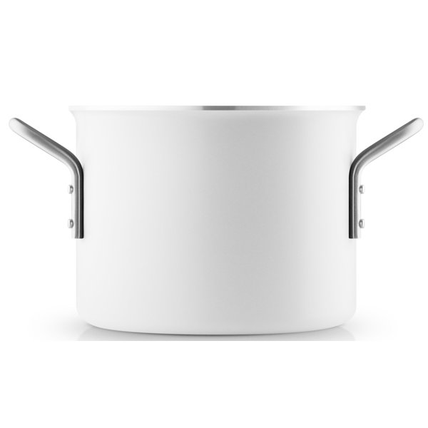 Eva Solo North America Non-Stick Aluminum Stock Pot | Wayfair
