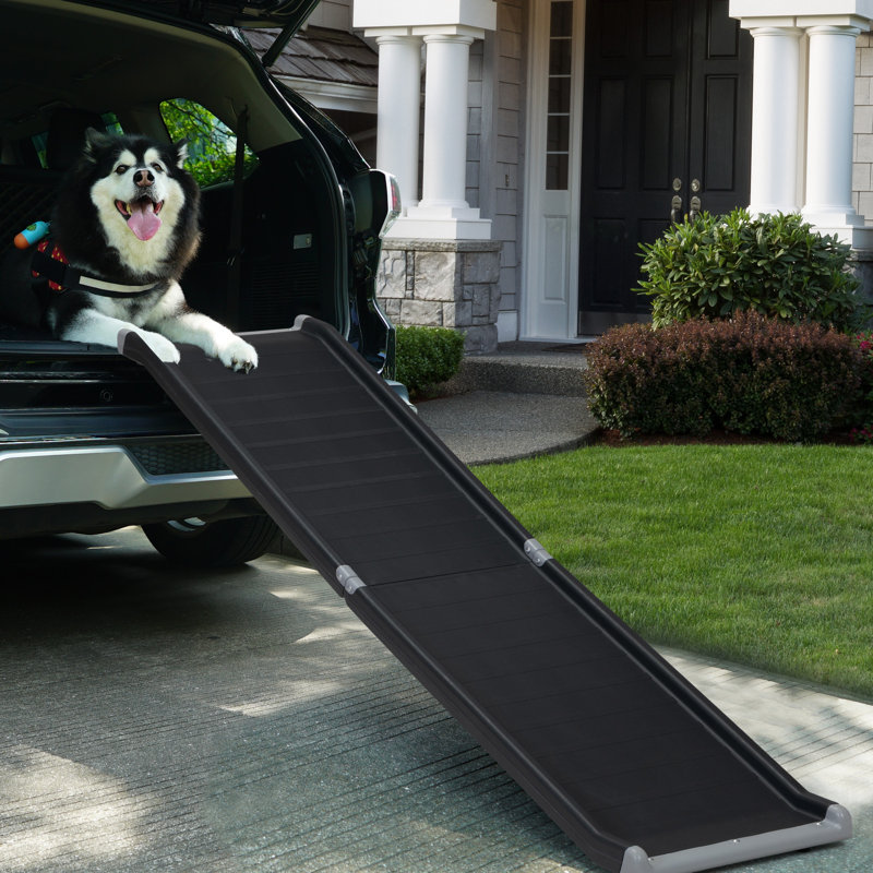 Tucker Murphy Pet™ Folding Safety Dog Ramp & Reviews | Wayfair