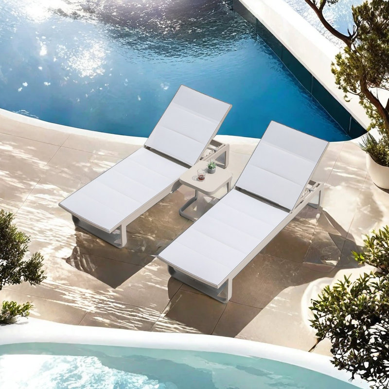 Orren Ellis Quentisha Outdoor Aluminium Alloy Chaise Lounge Set with ...