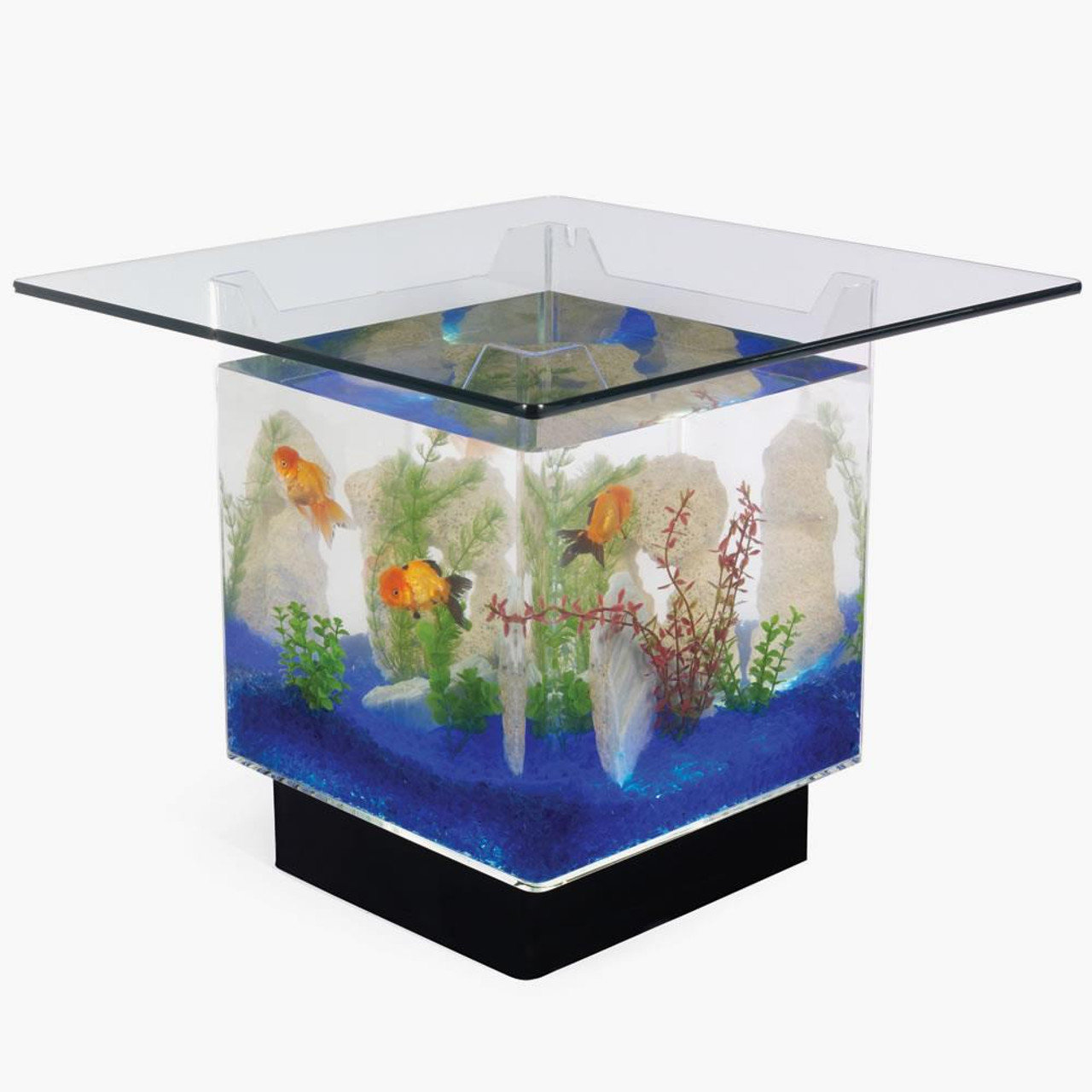 Archie & Oscar™ Claire 13-Gallon Square Fish Tank Coffee Table ...