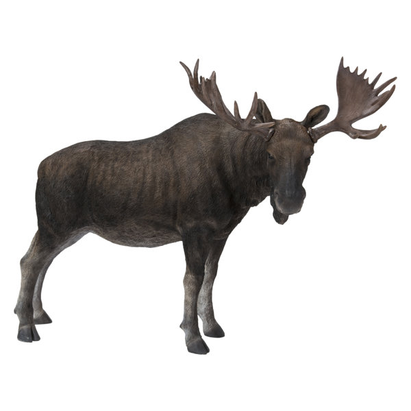 Hi-Line Gift Ltd. Standing Moose Statue & Reviews | Wayfair