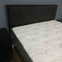 Wade Logan® Bethina Platform Bed & Reviews | Wayfair