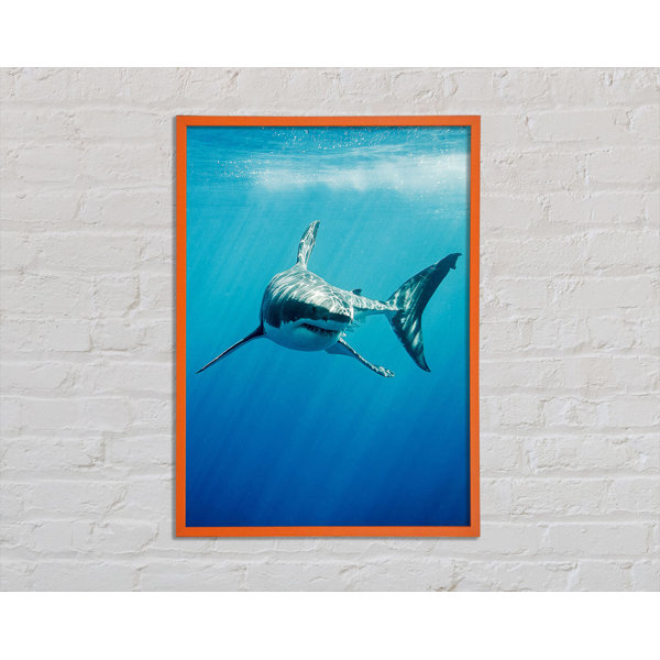 Longshore Tides Vernon Shark Smile - Single Picture Frame Print ...