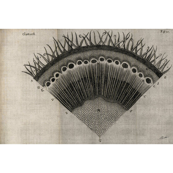 Happy Larry Tree Fan III | Wayfair.co.uk