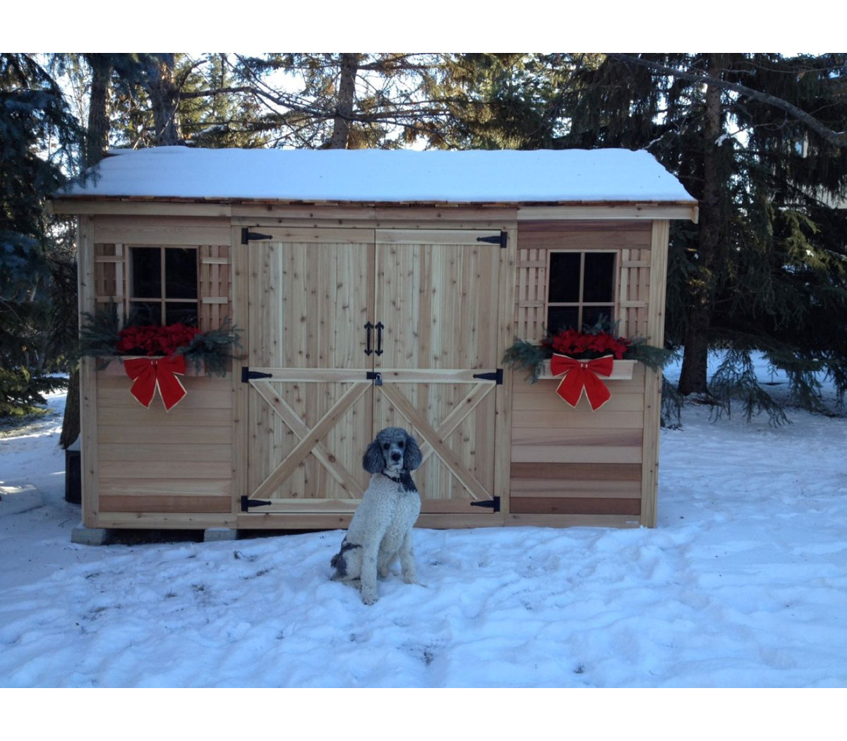 Cedarshed Longhouse 12 ft. W x 10 ft. D Western Red Cedar Wood Storage ...