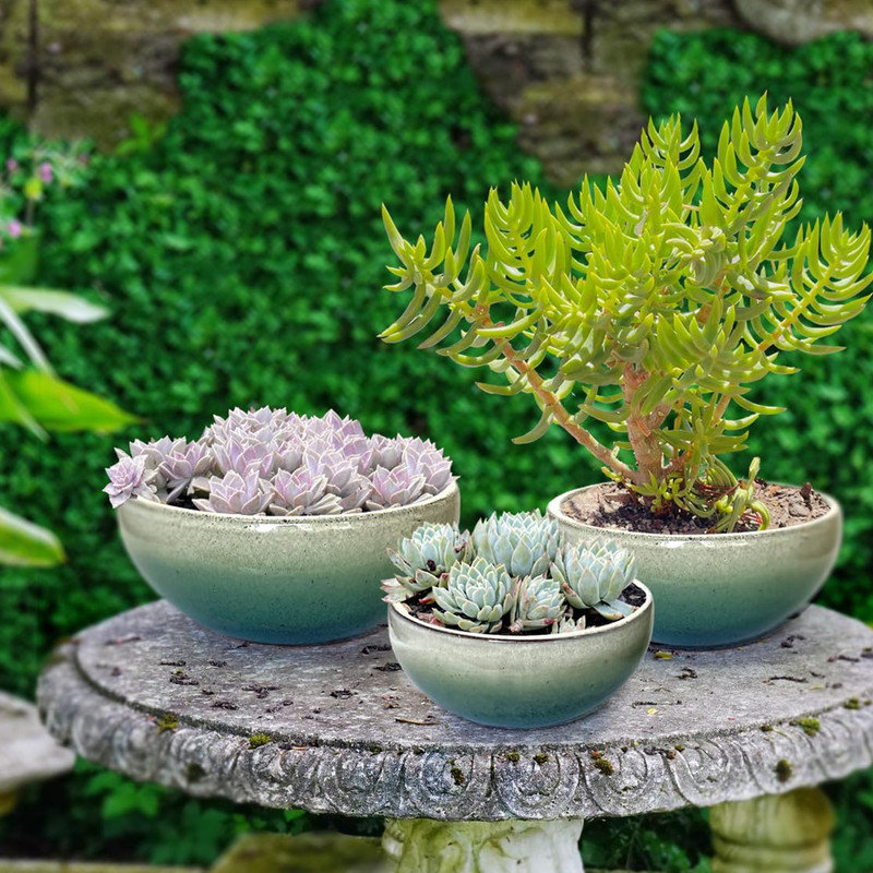 Red Barrel Studio Glazed Terracotta Plant Pot Ceramic Succulent Planter ...