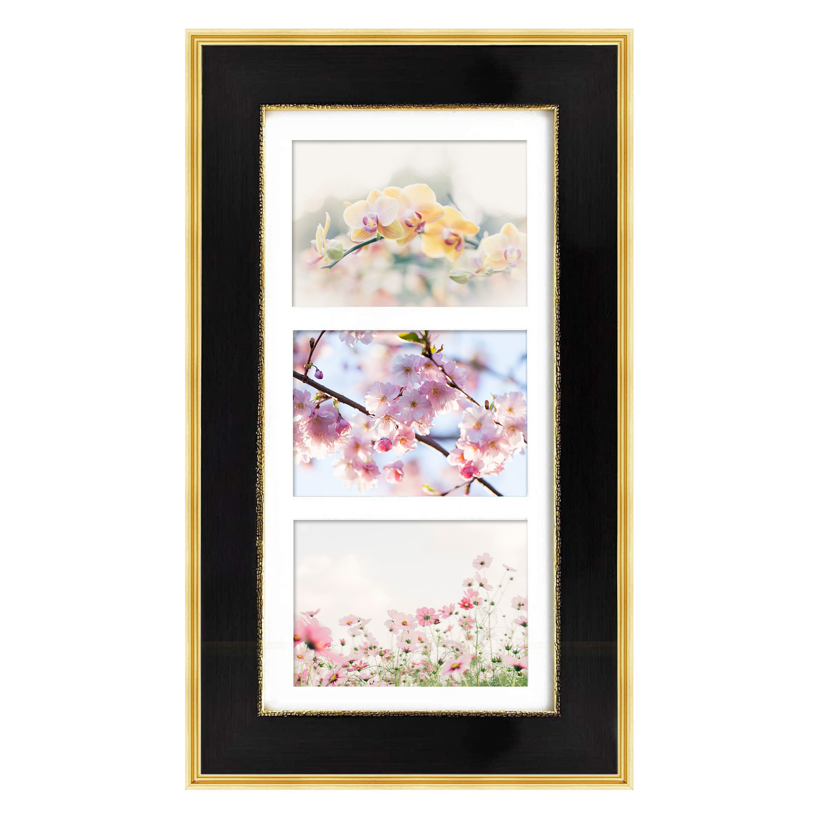 House of Hampton Eswen Collage Picture Frame - Wayfair Canada