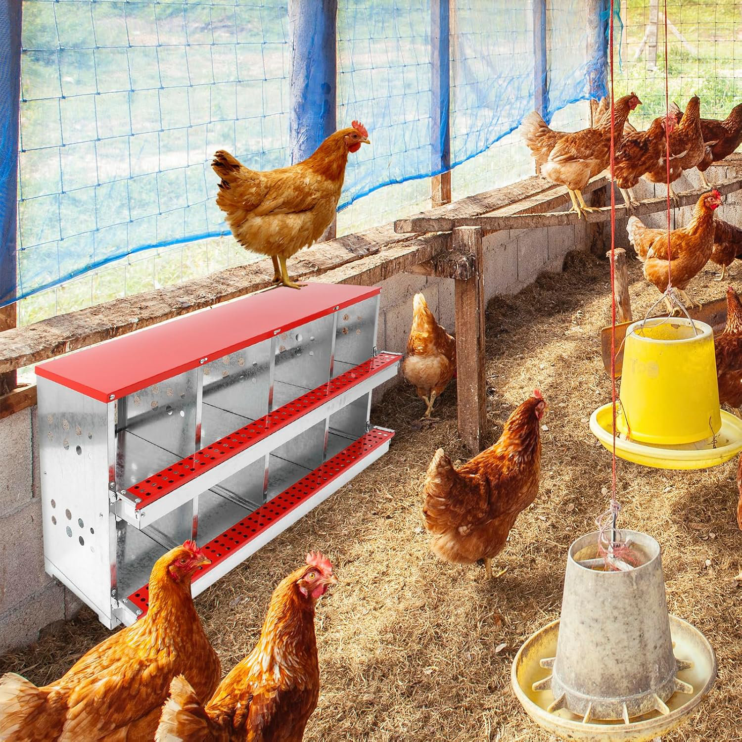 Archie & Oscar™ Erasmus Chicken Nesting Boxes,8 Compartment Nesting ...
