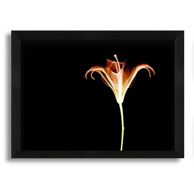 Ebern Designs X-Ray Orange - Single Picture Frame Graphic Art on Canvas ...
