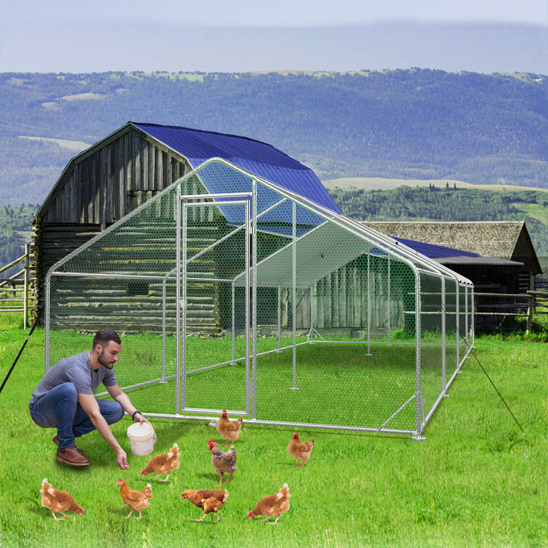 Tucker Murphy Pet™ Danay 251.23 Square Feet Chicken Run | Wayfair
