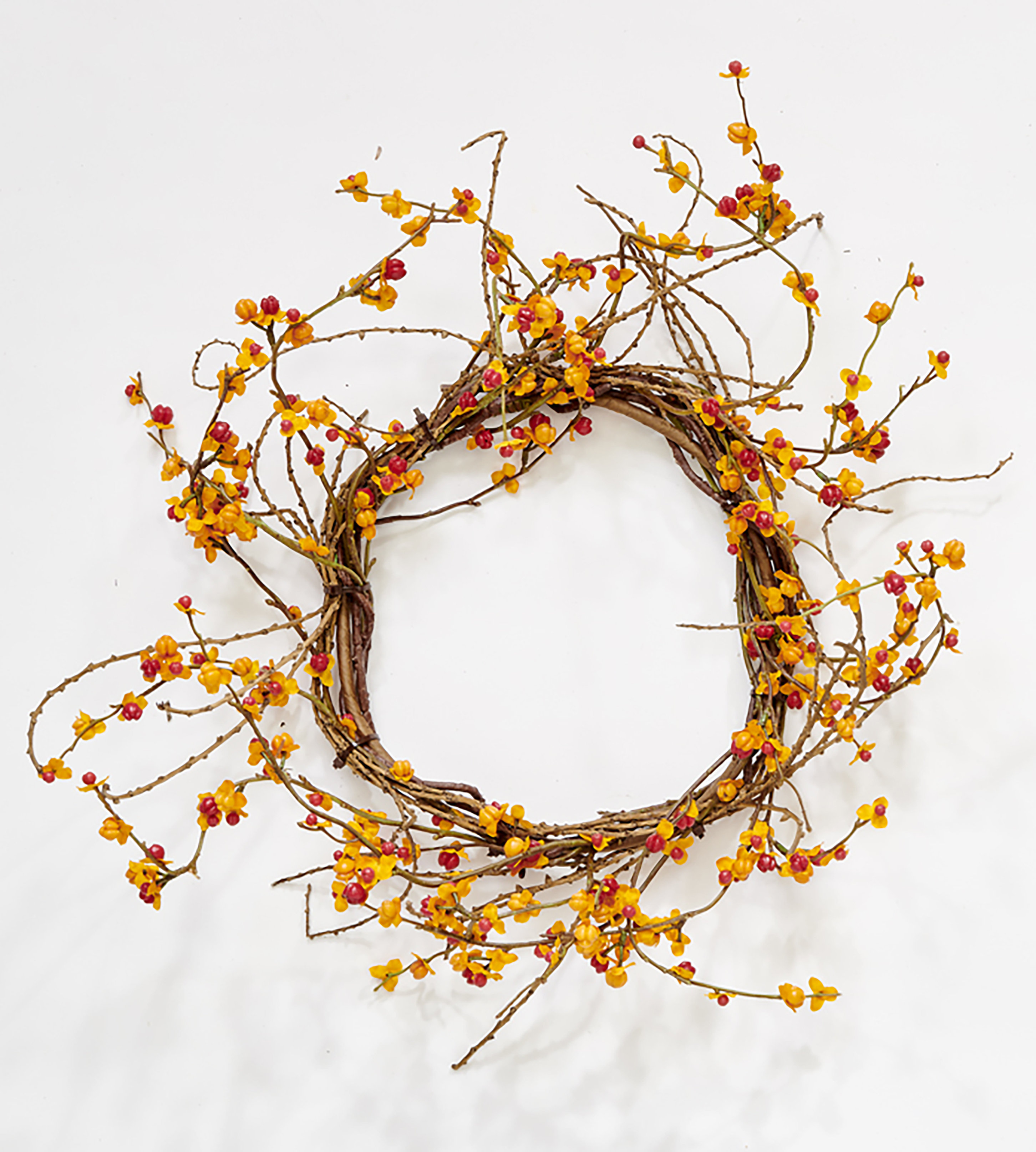 Ophelia & Co. 24" Artificial Fall Autumn Bittersweet Wreath | Wayfair