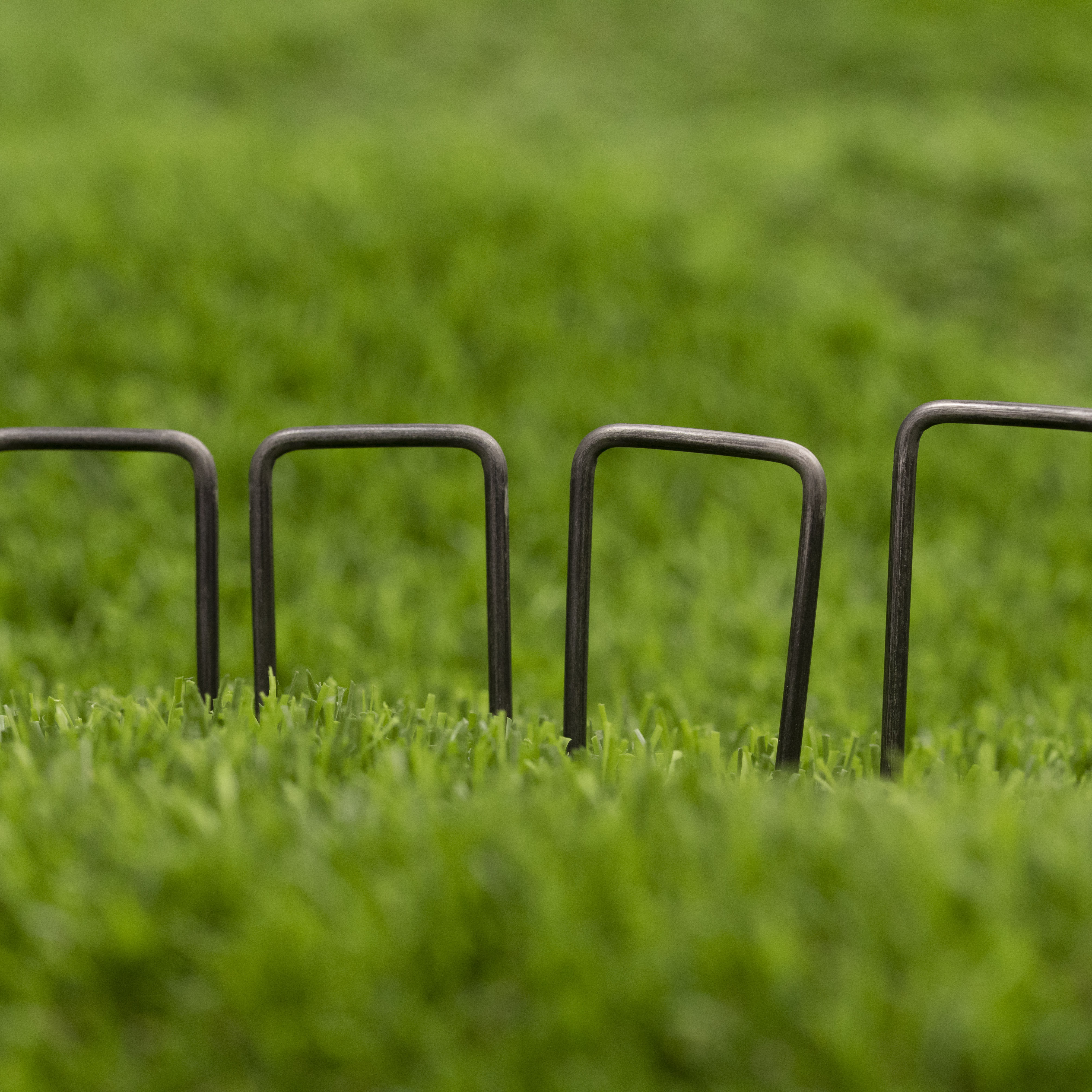 Ackland Wildcat GA Landscape Staples 1" x 6", 11 Gauge. 100 pc Box ...