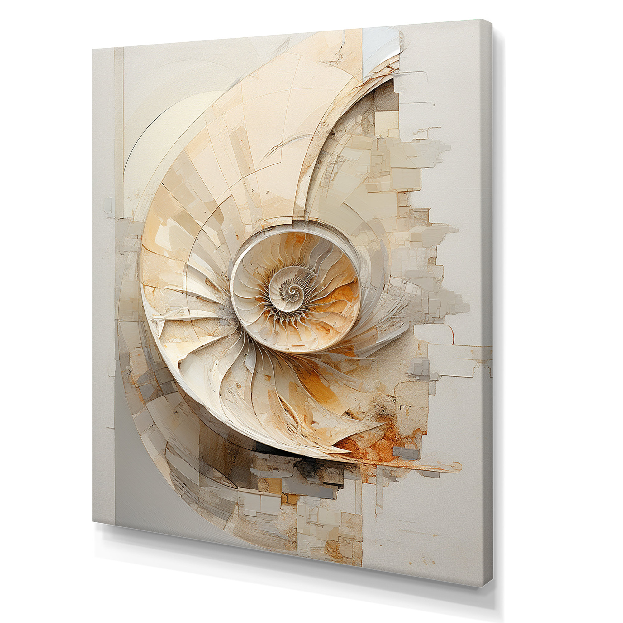 Design Art Abstract Snails Nautilus I On Canvas Print | Wayfair