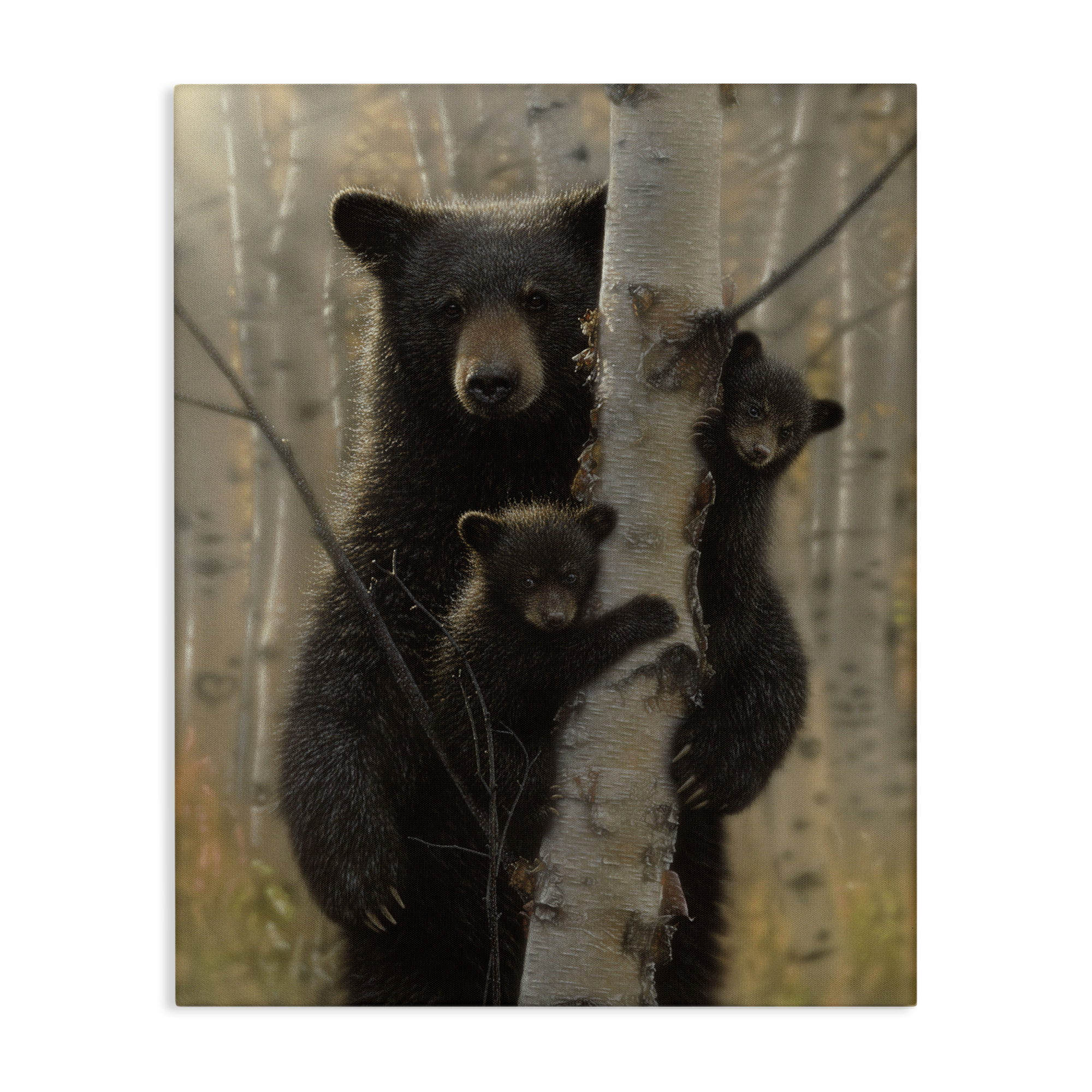 Union Rustic Mama Bear Behind Tree Canvas, design by Collin Bogle | Wayfair