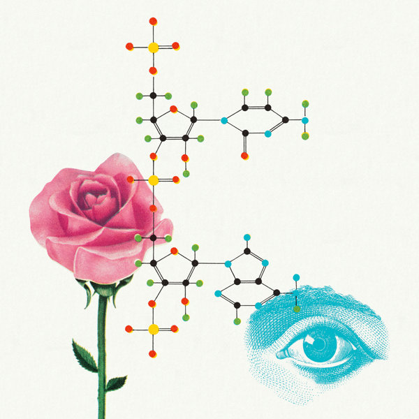 Happy Larry Rose and eye | Wayfair.co.uk