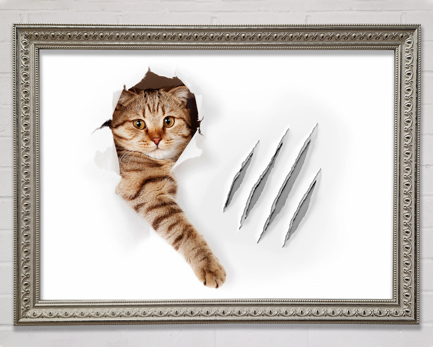 Ebern Designs Cat Claws - Print | Wayfair.co.uk