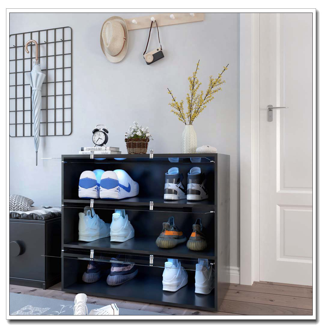 Mercer41 Door Shoe Box Shoe Storage Cabinet | Wayfair