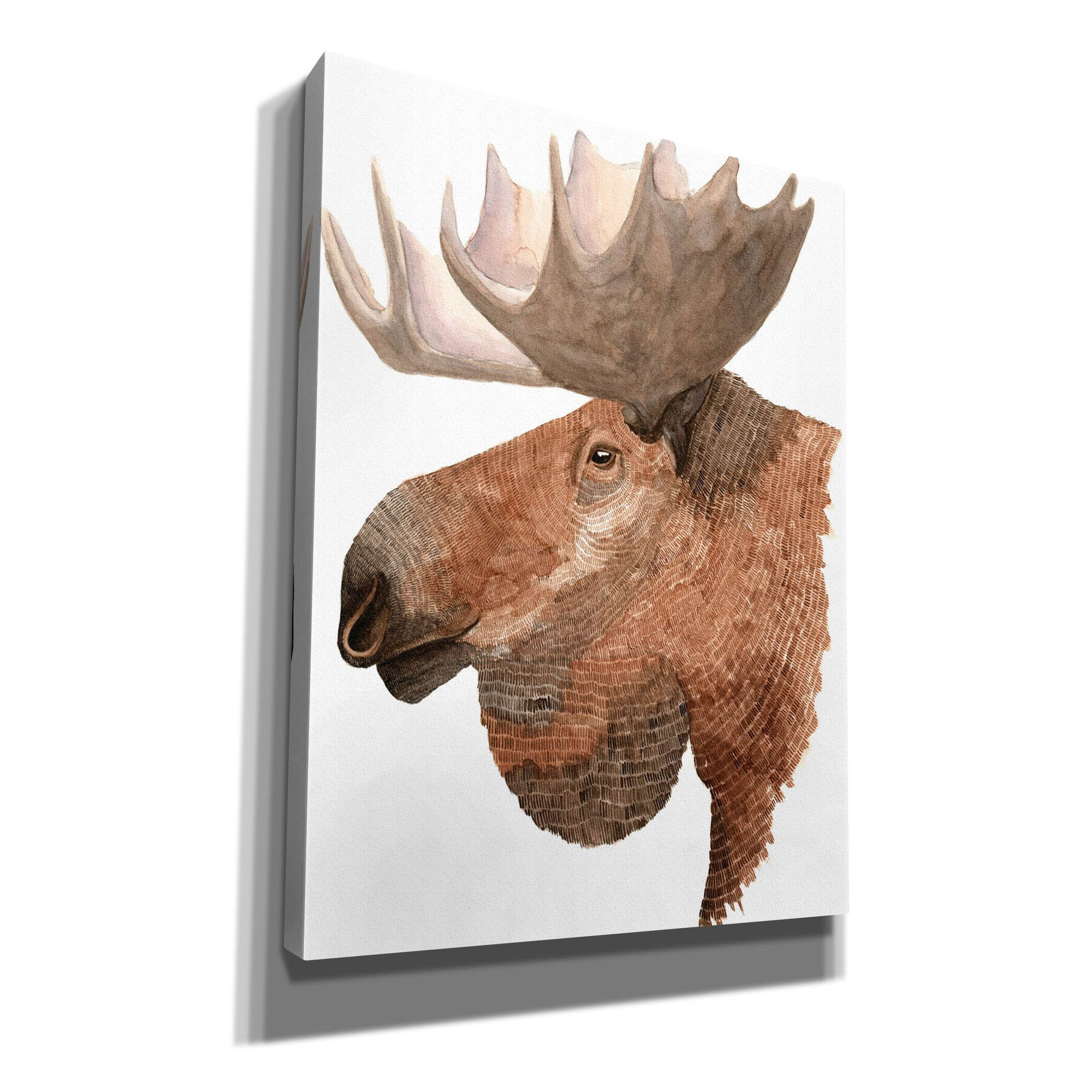 Foundry Select Red Barrel Studio® 'Moose' By Jeannine Saylor, Canvas ...