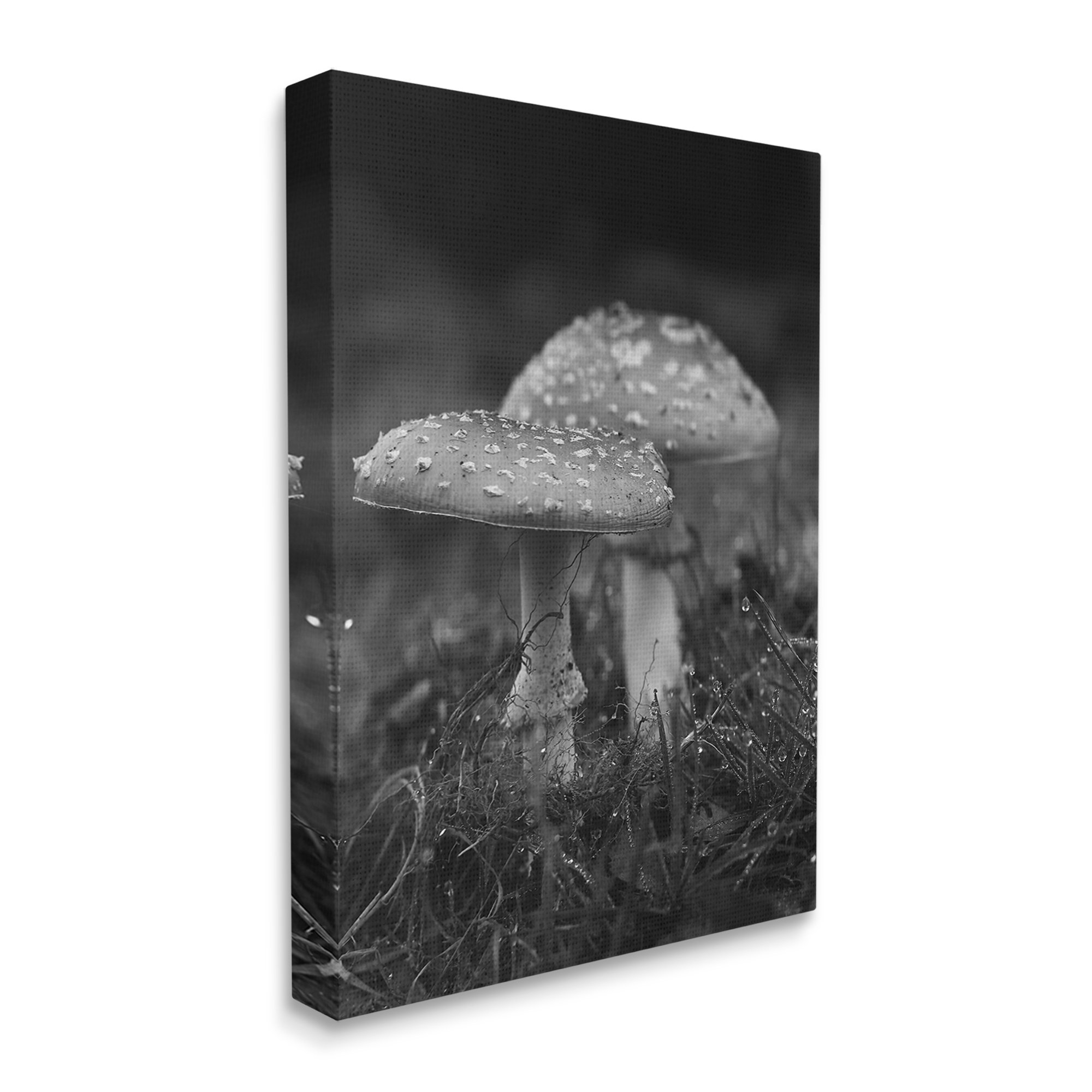 August Grove® " Gray Mushroom Photography " by Lil' Rue | Wayfair