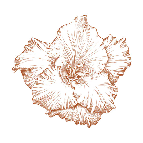 ClassicLiving Delaune Gladiolus Flower by Chelnok - Wrapped Canvas Art ...
