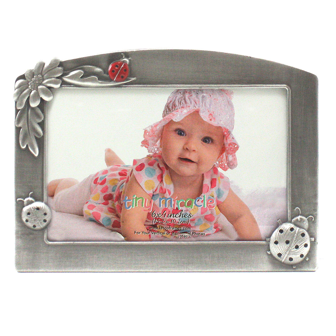 Fetco Home Decor Tiny Miracles Moxie Lady Bug Photo Frame | Wayfair