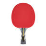 STIGA Raptor Performance Table Tennis Racket & Reviews | Wayfair