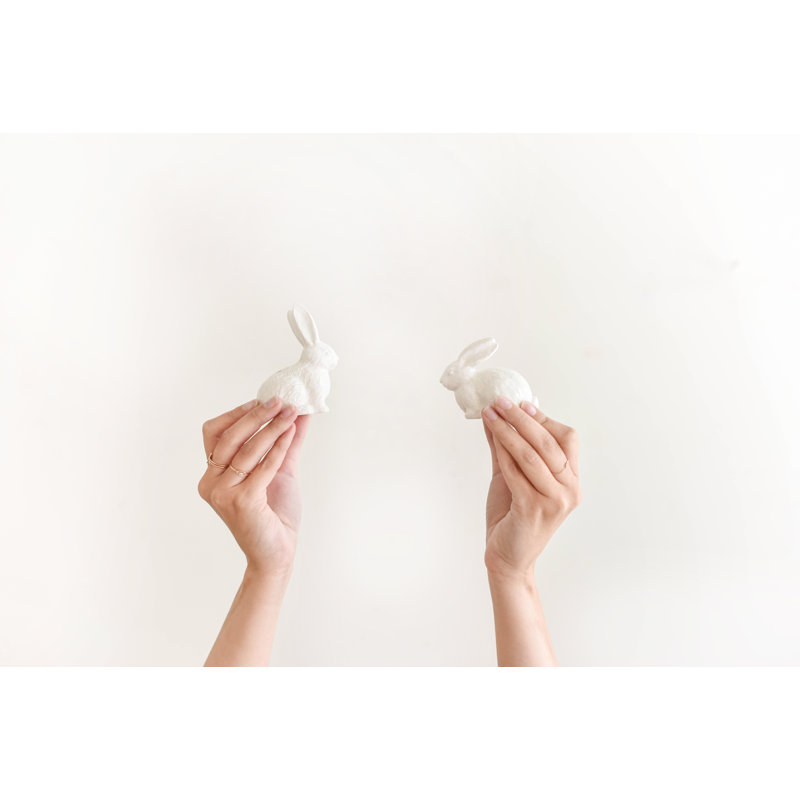 Coton Colors Rabbit Salt And Pepper Shaker Set | Wayfair