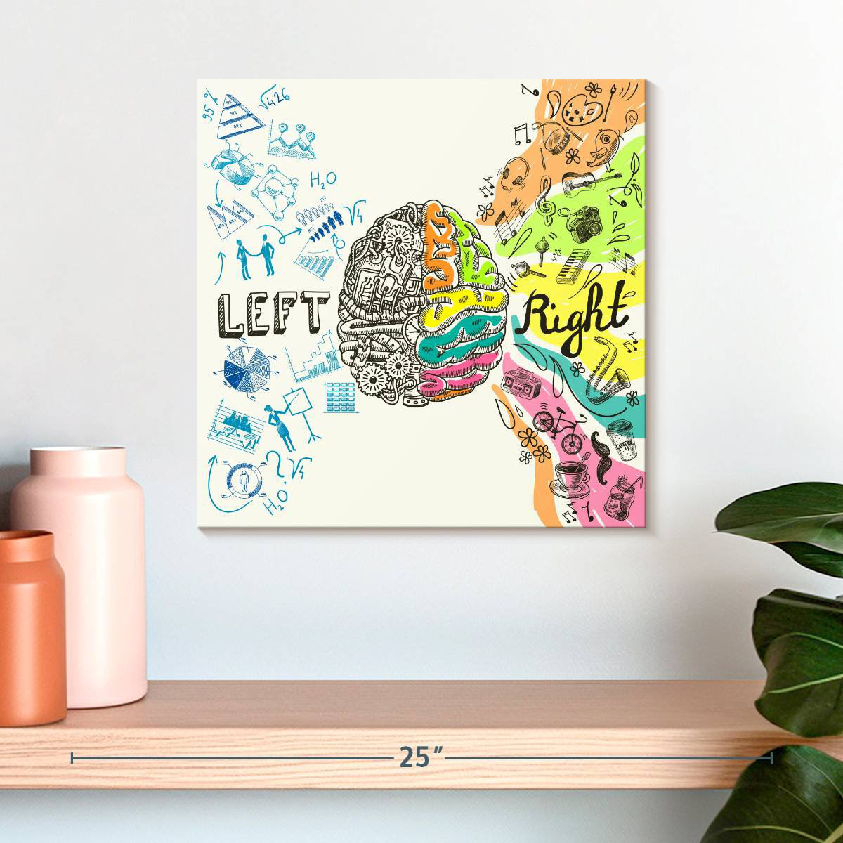 Ebern Designs Alcaraz Brain Hemispheres | Wayfair