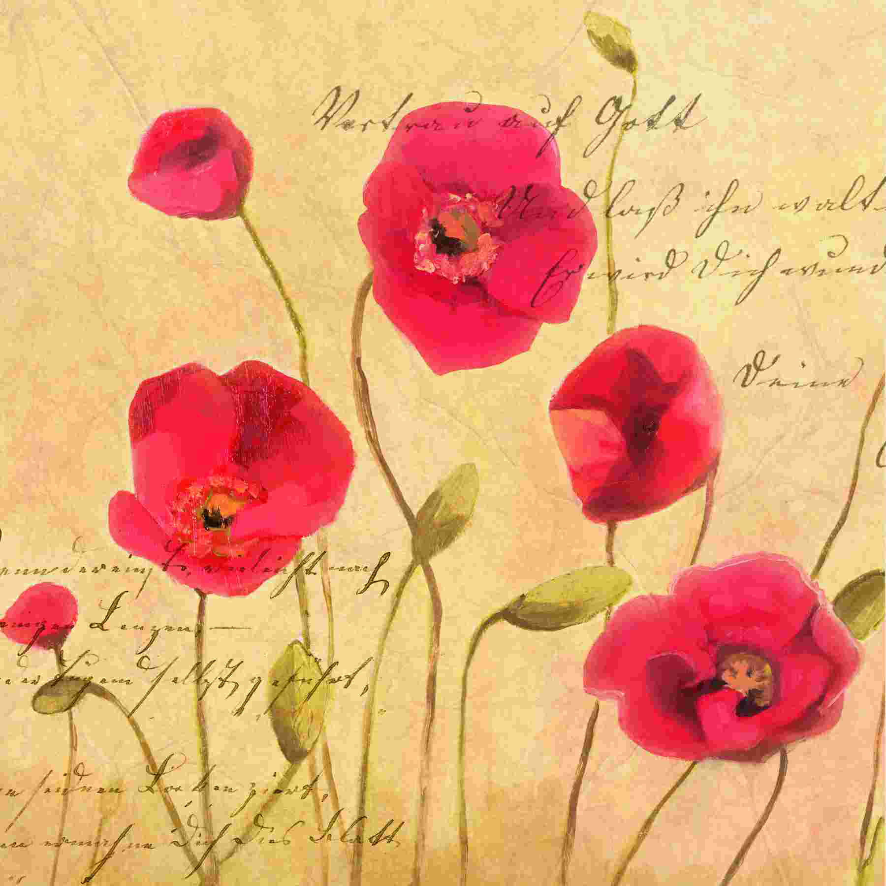 Winston Porter " Poppy Script " Painting Print - Wayfair Canada