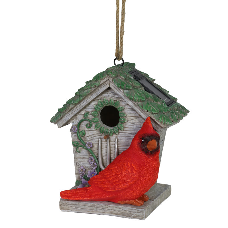 Exhart Solar Cardinal Hanging Bird House, 6 by 8 Inches & Reviews | Wayfair