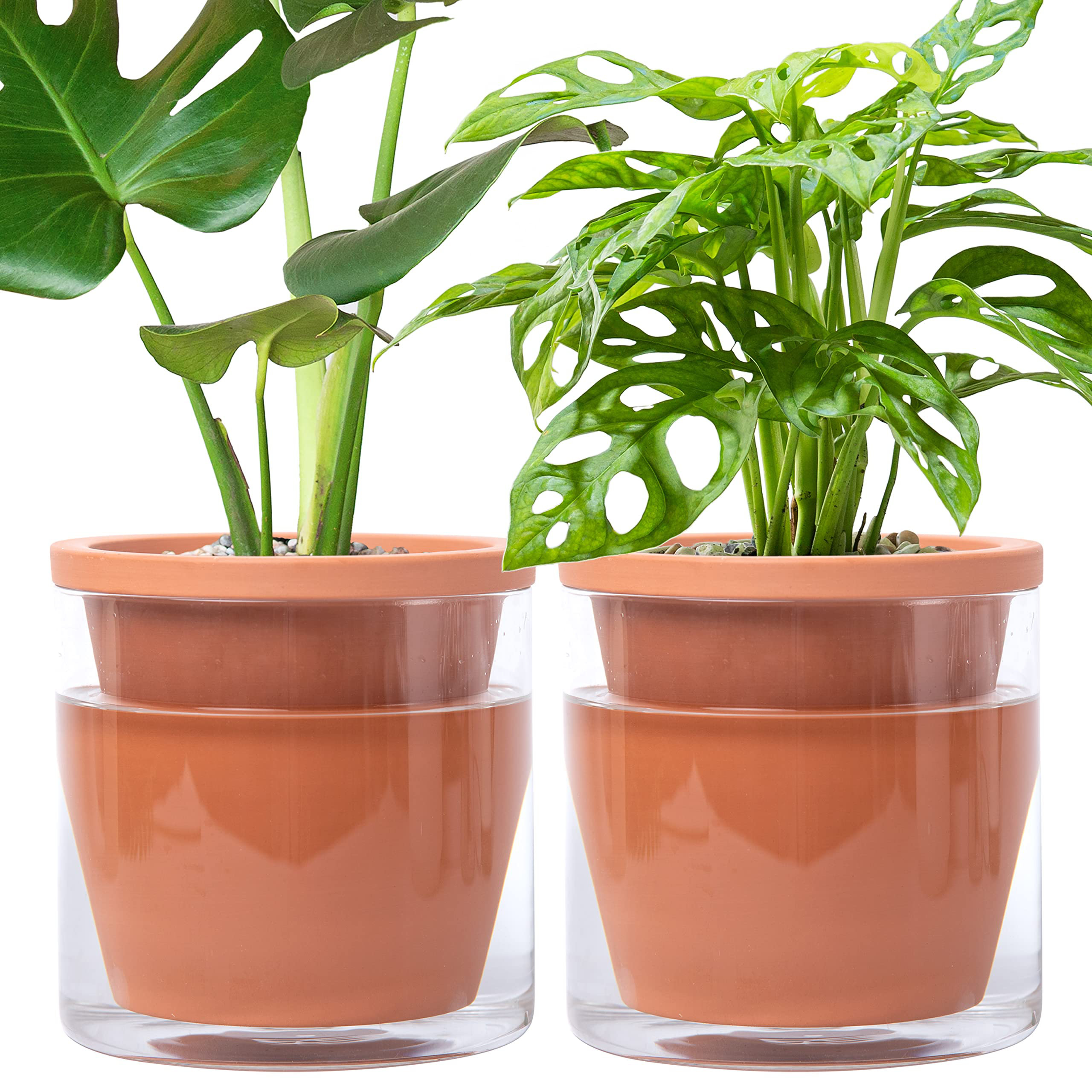 Latitude Run® 6 Inch Design Self Watering Pot For Indoor Plants ...
