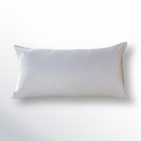 Wayfair Sleep™ Polyester Plush Pillow & Reviews | Joss & Main