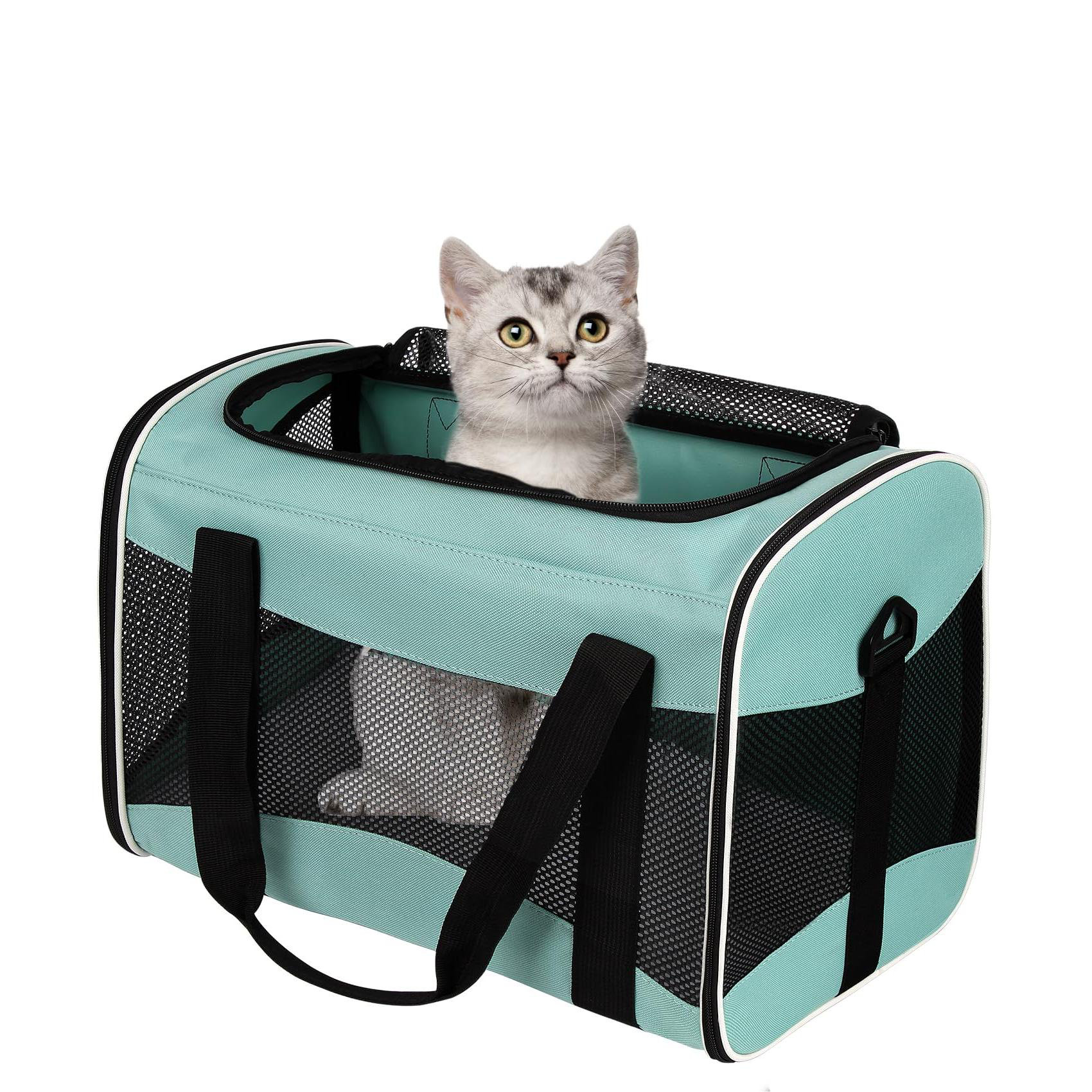 Ebern Designs Cat Carrying Case Pet Dog Carrier Soft-Sided Cat Bag ...