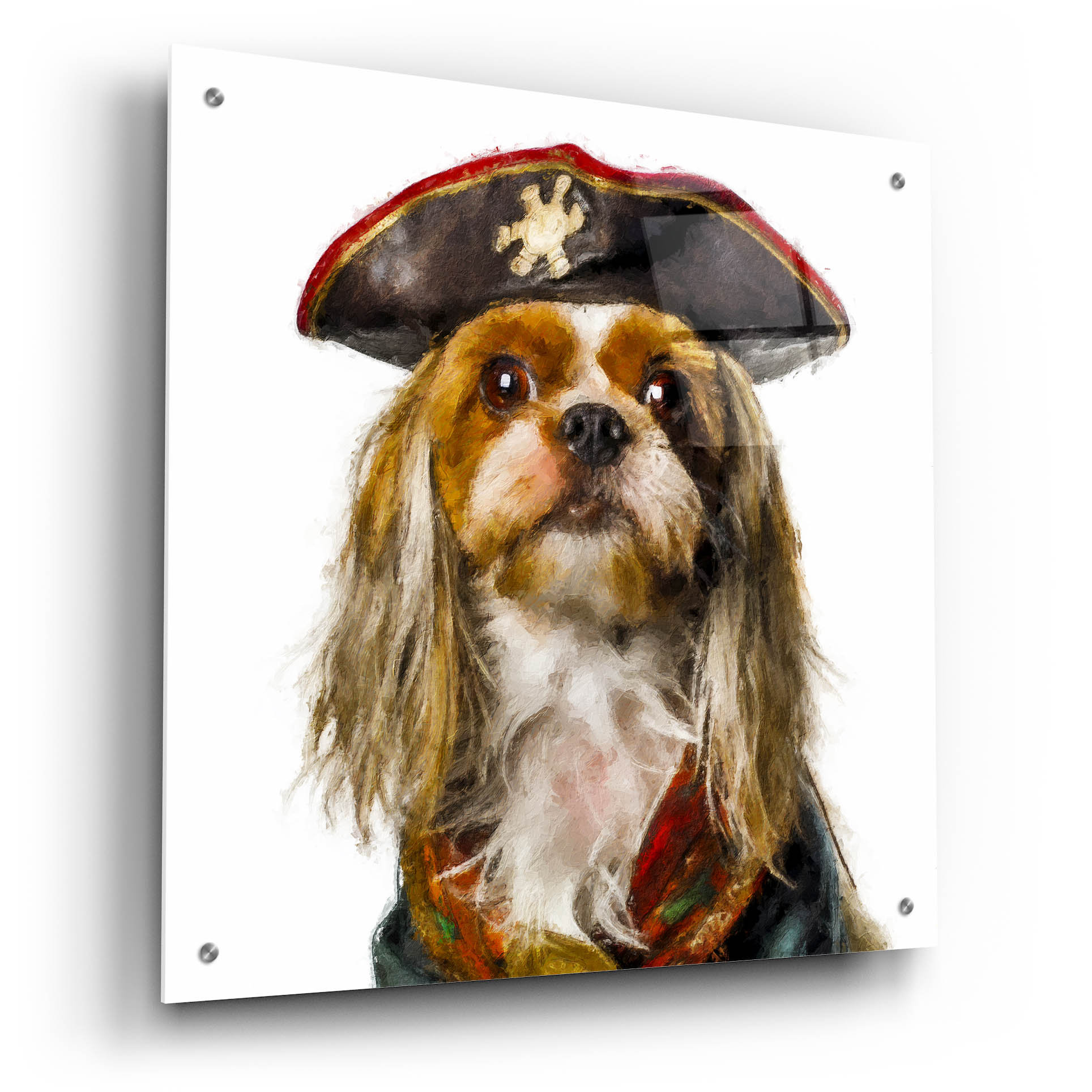 Trinx Fluffy' by Sean Parnell Acrylic Glass Wall Art | Wayfair