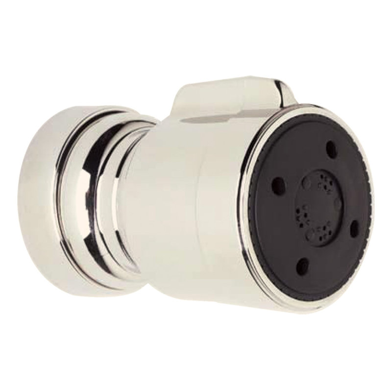 Rohl Bossini Swivel Body Spray | Wayfair