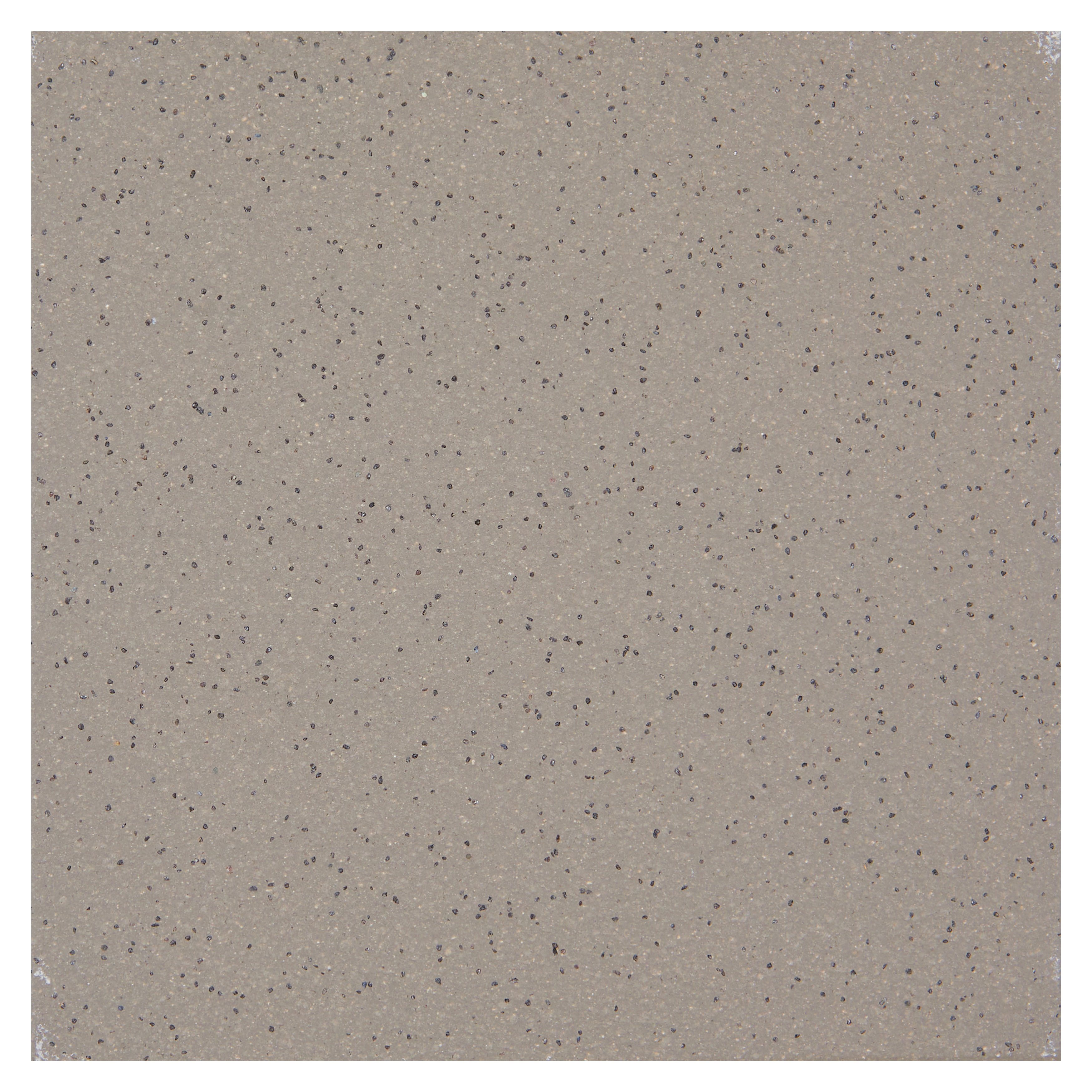 Daltile Quarry Textures 8" x 8" Abrasive Grain Field Tile | Wayfair