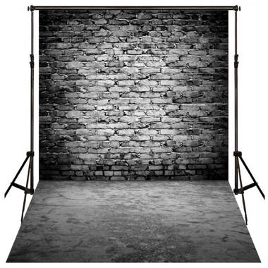 ANMINY Scene Setter & Reviews | Wayfair