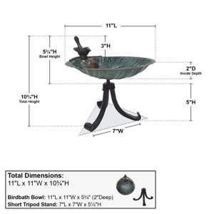 Ophelia & Co. Scallop Shell Birdbath with Tripod Stand | Wayfair