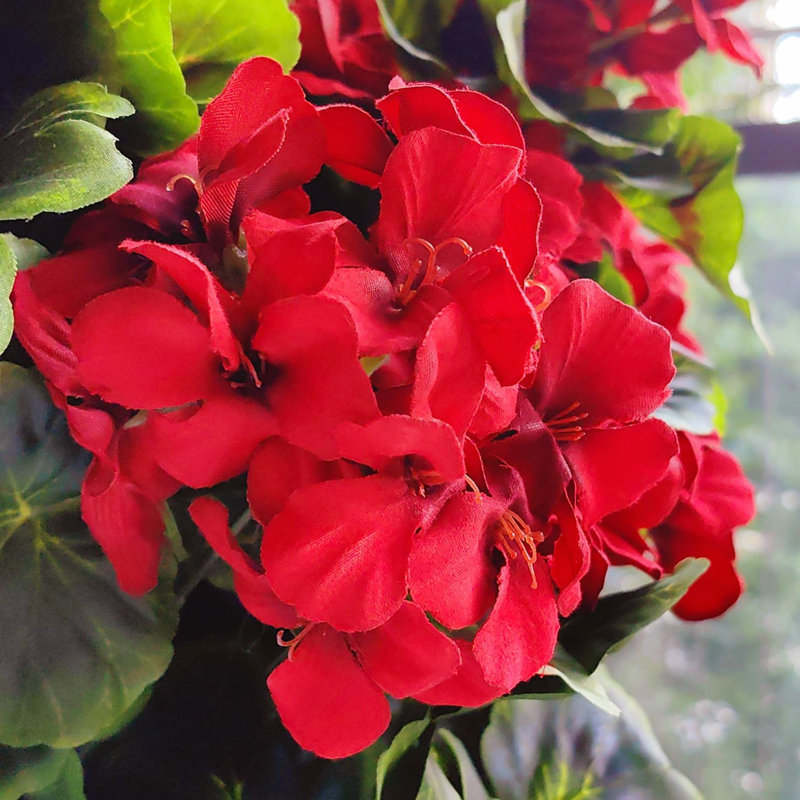 Ophelia & Co. Artificial Geraniums Bundles for Decor | Wayfair