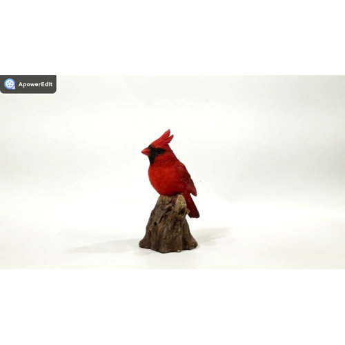 Hi-Line Gift Ltd. Motion Activated Singing Cardinal Standing on Stump ...