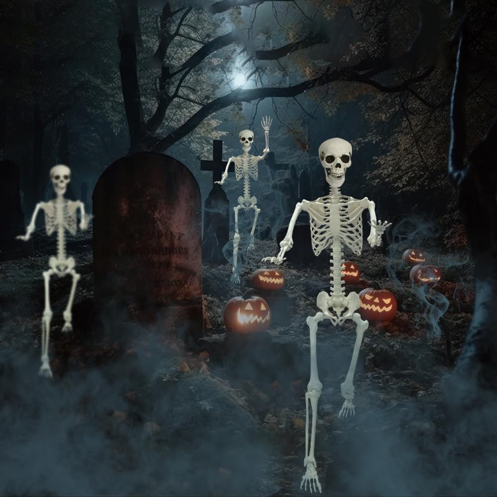 The Holiday Aisle® 5.9FT Poseable Full Size Skeleton, Plastic Life Size ...