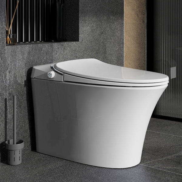 HIGEINE Smart Bidet Toilet With Heated Seat, Warm Water Fountain ...