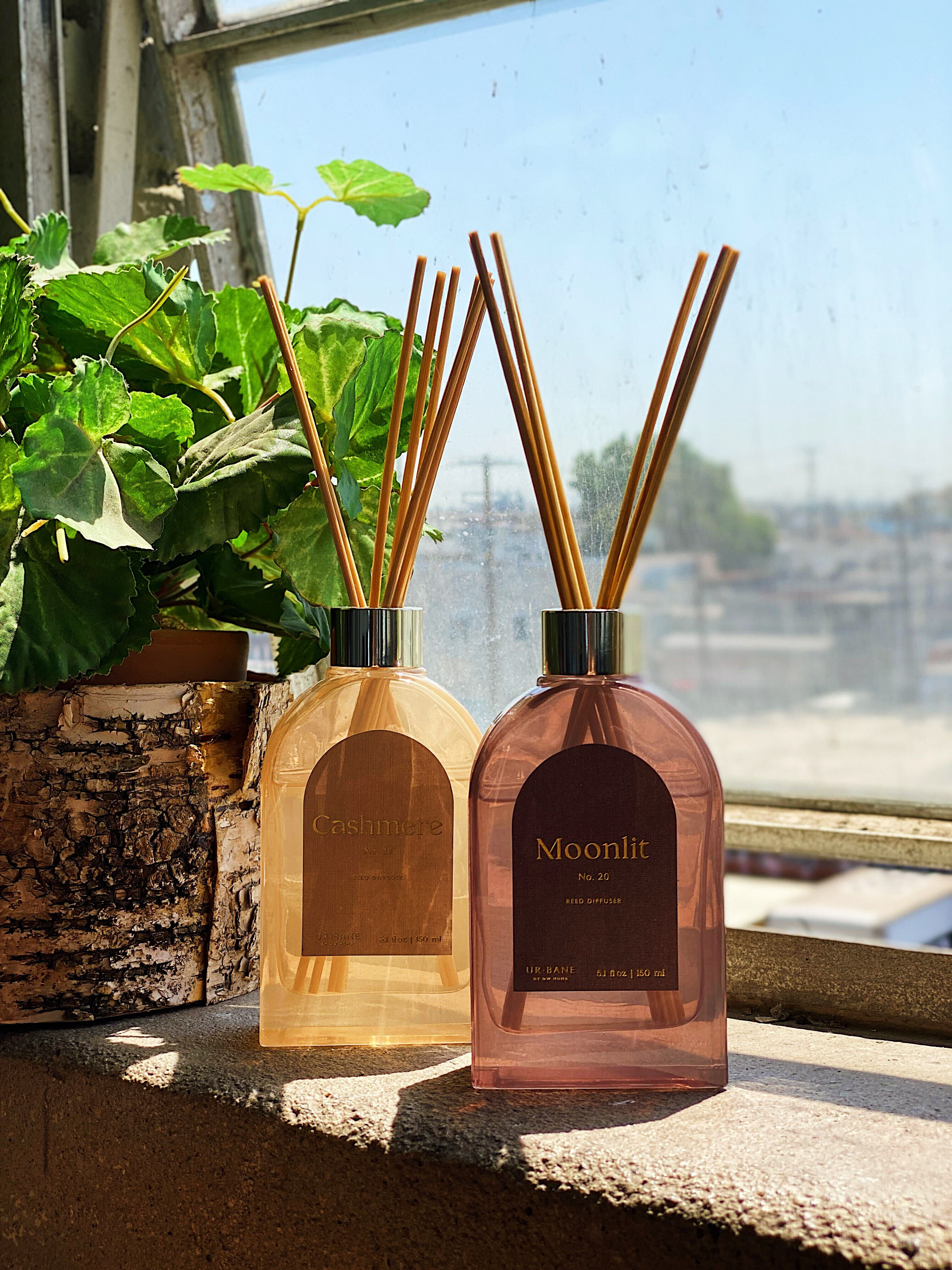 DWHome Moonlit Reed Diffuser & Reviews | Wayfair