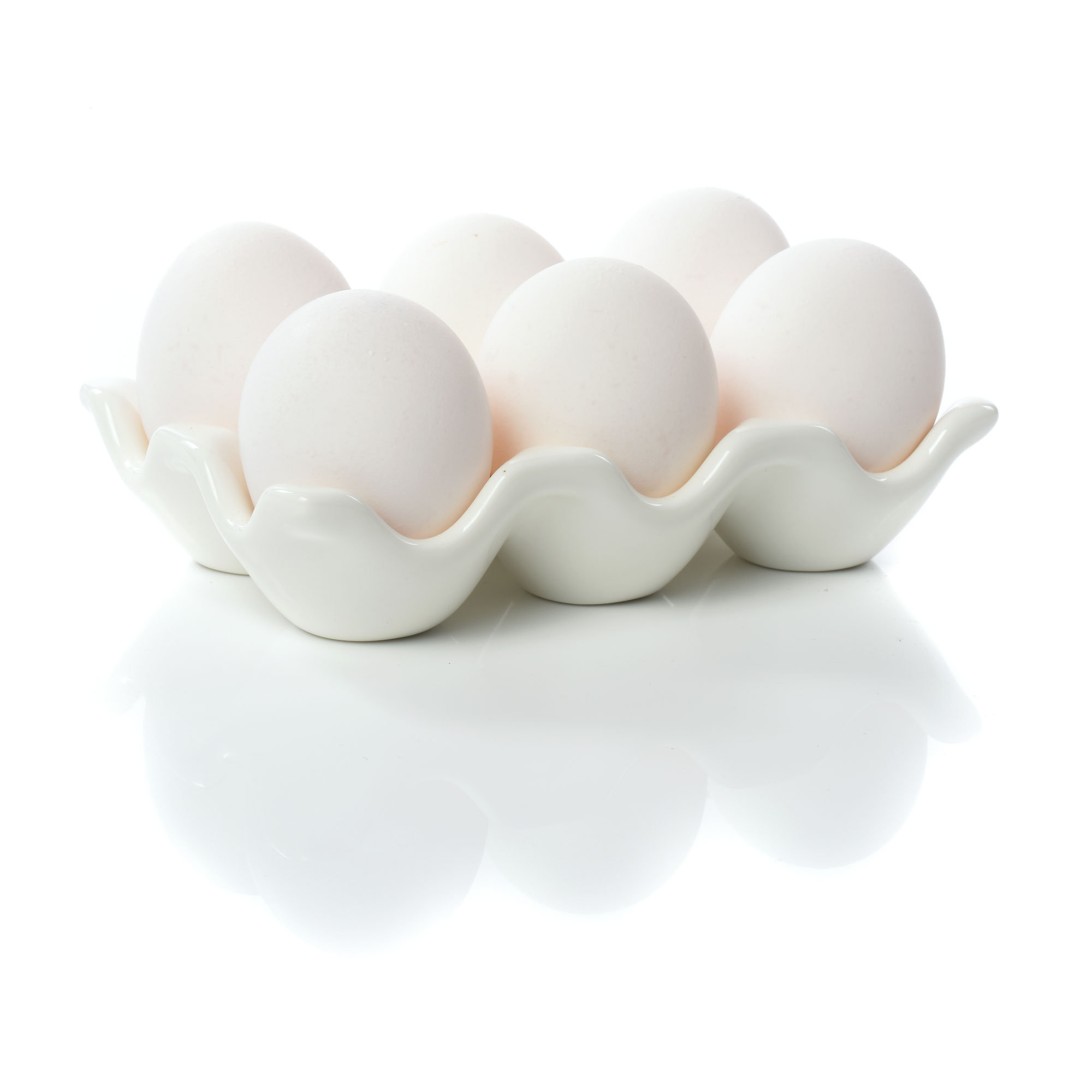 IMPULSE! Hudson Egg Crate & Reviews | Wayfair